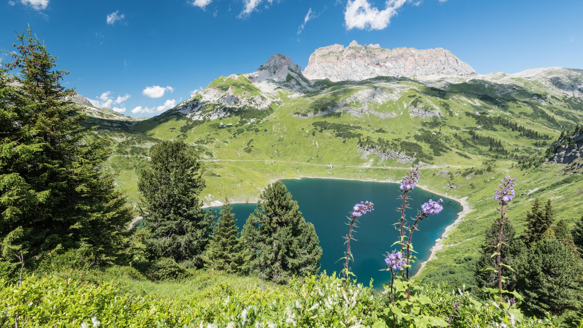 Bike & Hike: Lech - Formarinalpe and around the Formaletsch - Lech Zürs